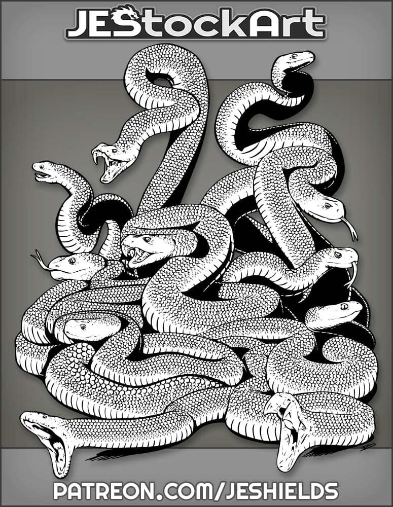 Fantasy - Eleven Vipers Striking - INB | Jeshields.com