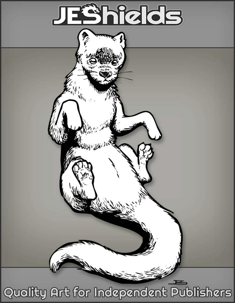 Modern - Ferret Weasel Mongoose with Curled Paws - INB | Jeshields.com